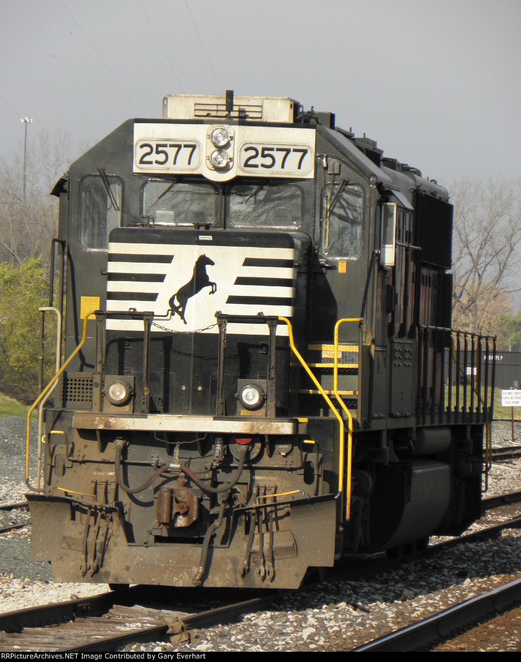 NS 2577